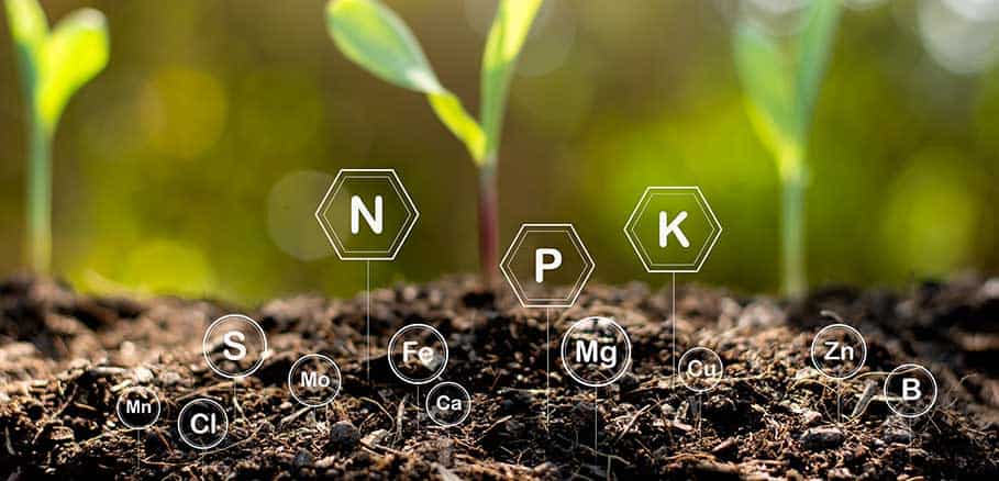 Μία εισαγωγή στα κύρια θρεπτικά συστατικά | Growit Growshop