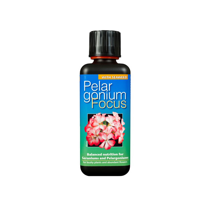 Pelargonium Focus 300ml | Growit Growshop