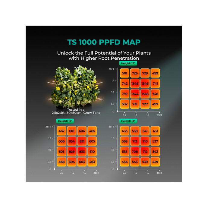 Mars Hydro TS 1000 | Growit Growshop